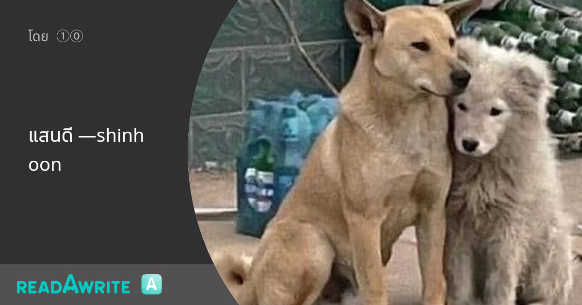 แสนดี —shinhoon: ฟิค Boy Love (แชท)