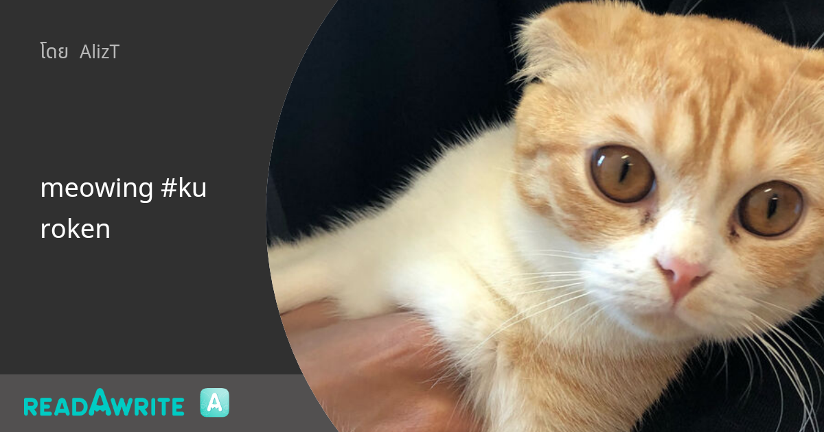 meowing #kuroken - อารมณ์ไม่ดีก็มาฝนเล็บที่แขนเรา : ฟิค Boy Love (แชท)