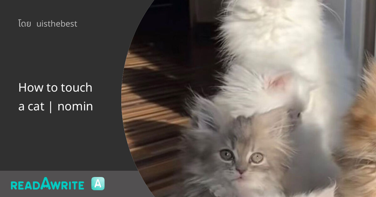 How to touch a cat | nomin - how to touch : 10 : ฟิค Boy Love (แชท)