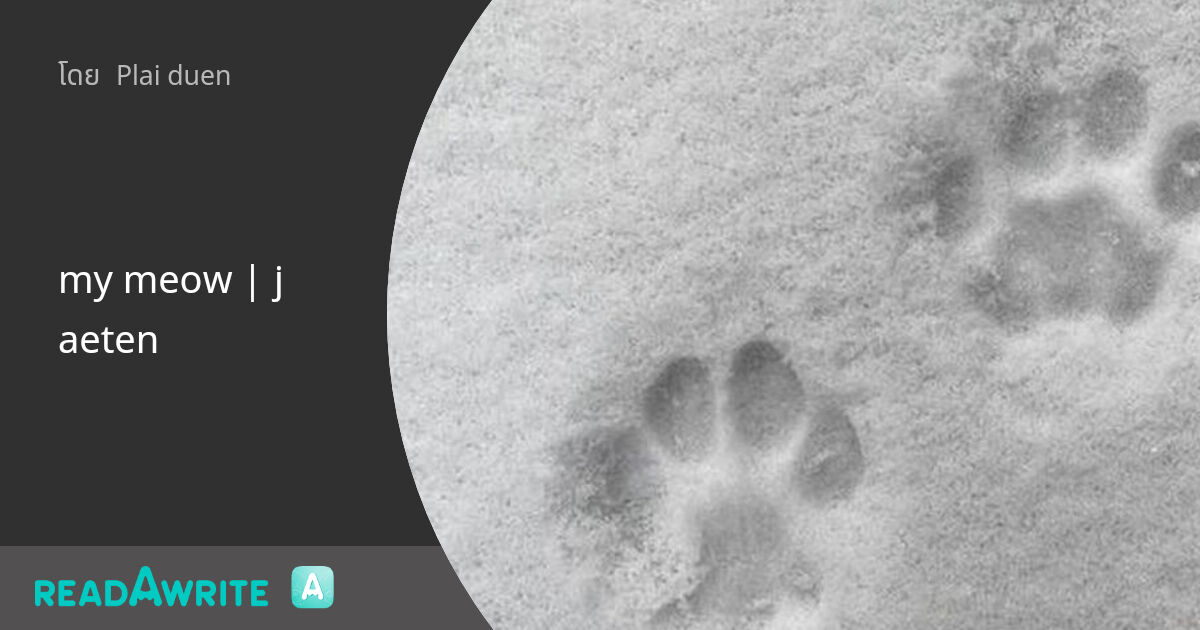 my meow | jaeten: ฟิค Boy Love (แชท)