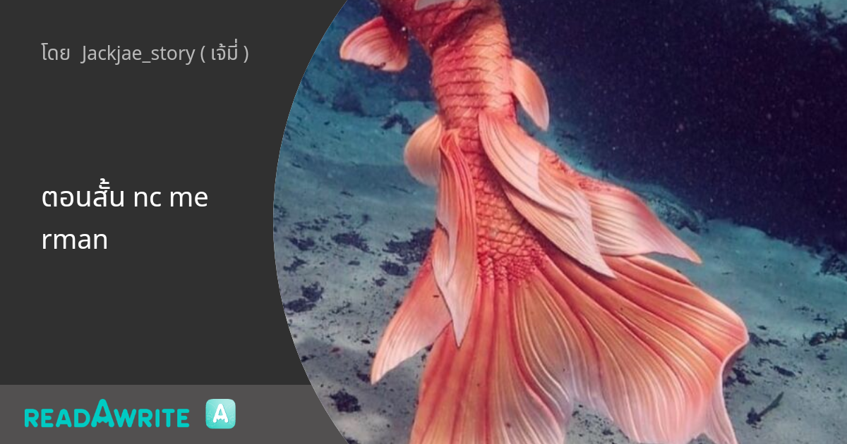 ตอนสั้น nc merman: ฟิค Boy Love (แชท)