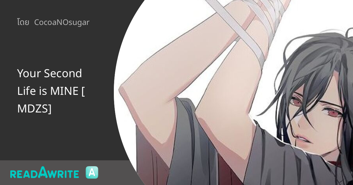 Your Second Life is MINE [MDZS] - 17 ตุ๊กตา: ฟิค Love Novel (บรรยาย)