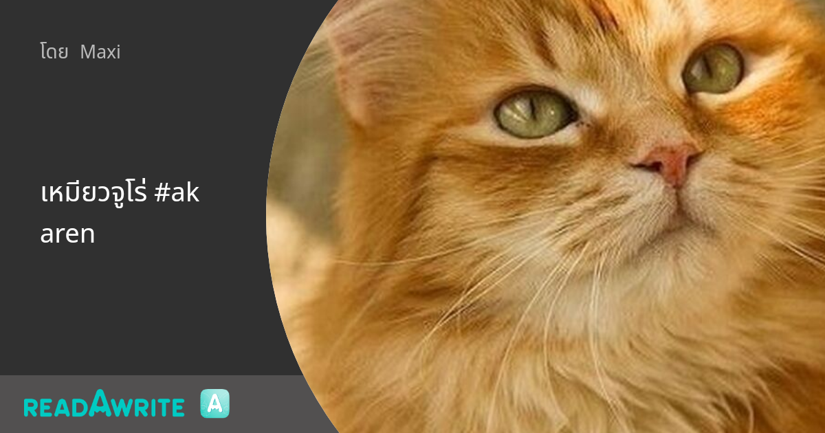 เหมียวจูโร่ #akaren - แมว : ฟิค Boy Love (แชท)