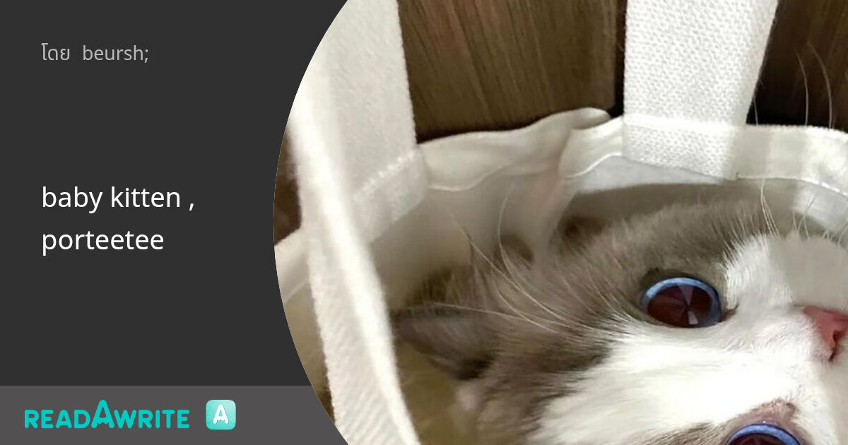 baby kitten , porteetee - baby kitten (10) : porteetee : ฟิค Boy Love (แชท)