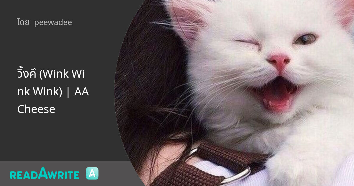 วิ้งคึ (Wink Wink Wink) | AACheese: ฟิค Boy Love (แชท)