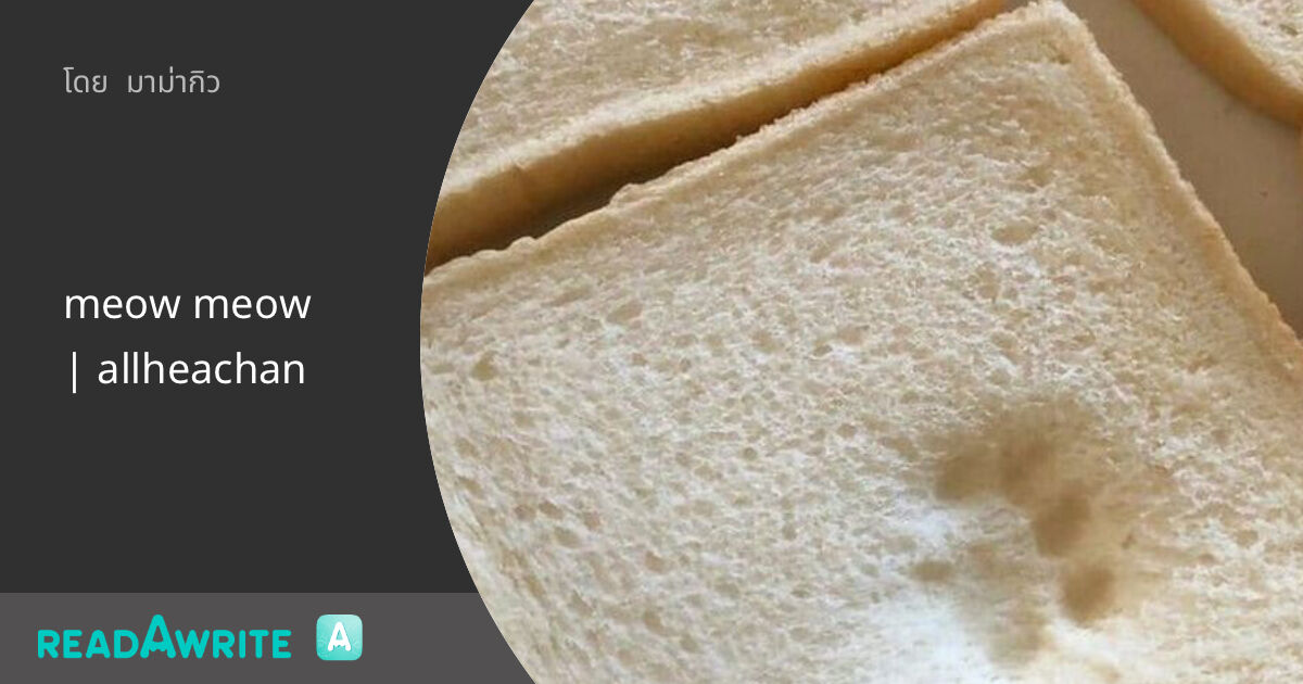 meow meow | allheachan - Gun - Pim | jnhc fam (1/2) : ฟิค Boy Love (แชท)