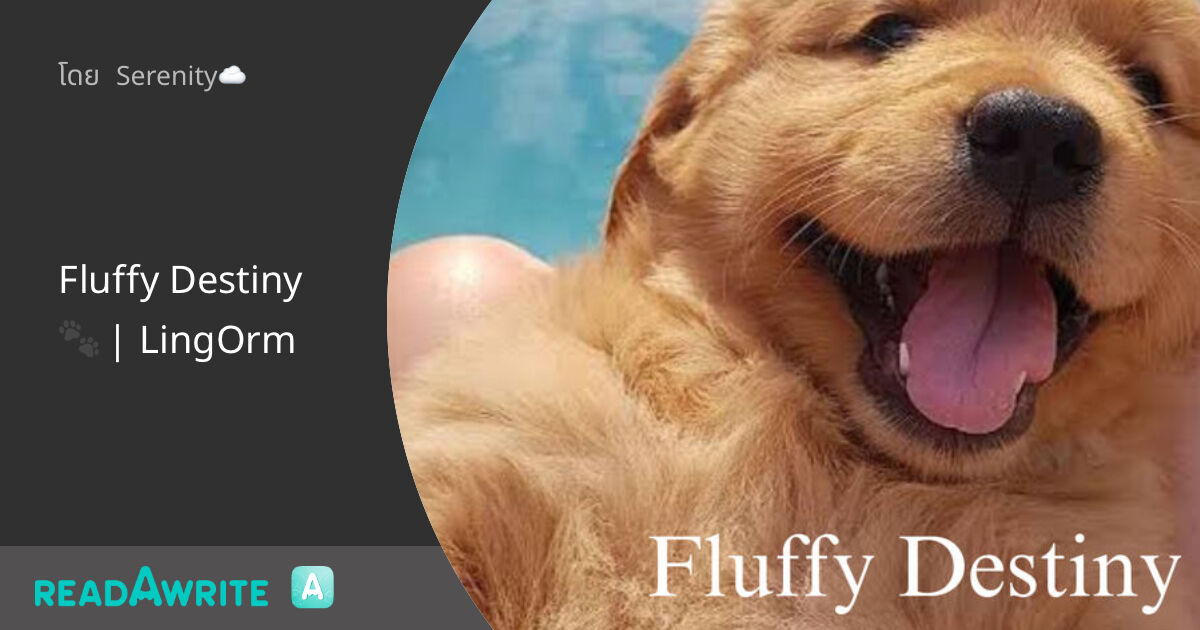 Fluffy Destiny🐾 | LingOrm: ฟิค Girl Love (แชท)