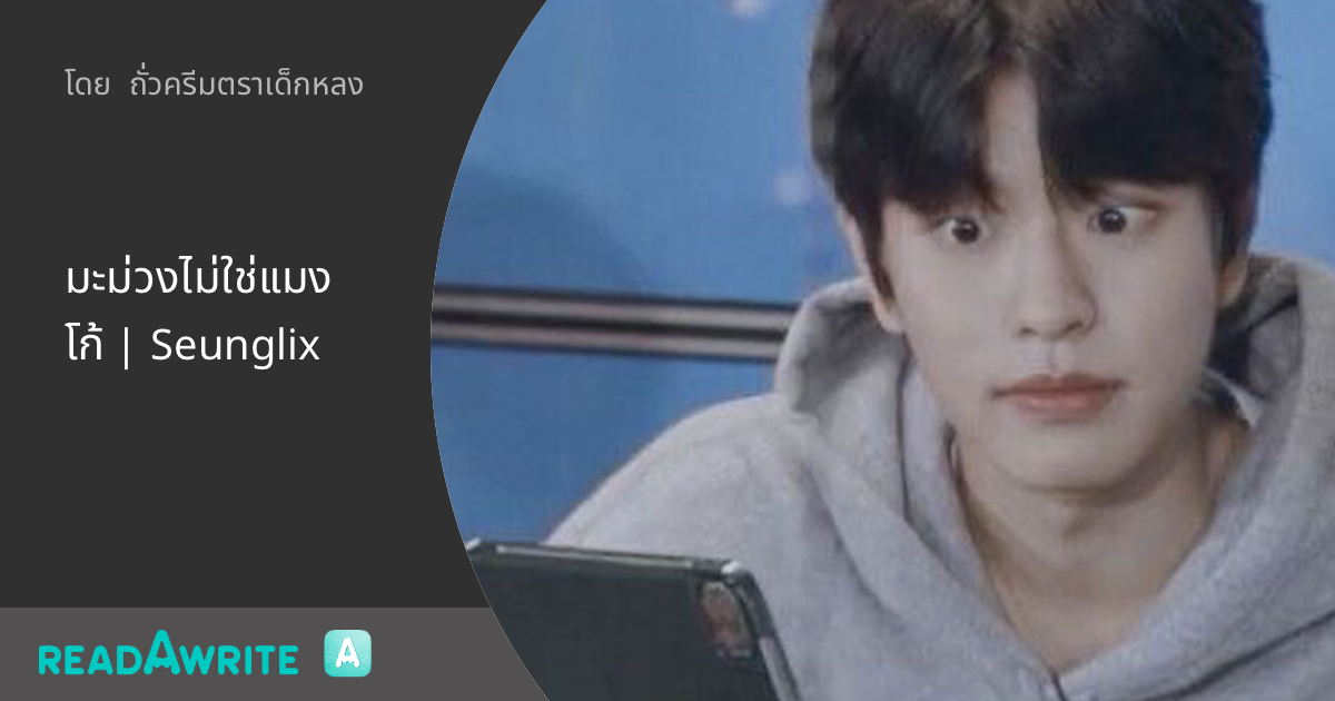 มะม่วงไม่ใช่แมงโก้ | Seunglix: ฟิค Boy Love (แชท)