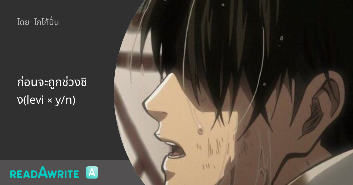 ก่อนจะถูกช่วงชิง(levi × y/n): ฟิค Love Novel (บรรยาย)