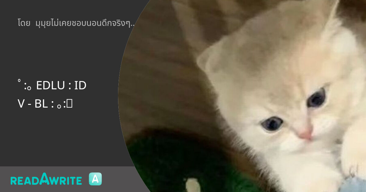 ﾟ⁠:⁠｡ EDLU : IDV - BL : ｡⁠:ﾟ: นิยาย Boy Love Lovely Room (แชท)