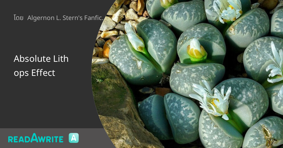 Absolute Lithops Effect - II. The "body" of the plant is divided into ...