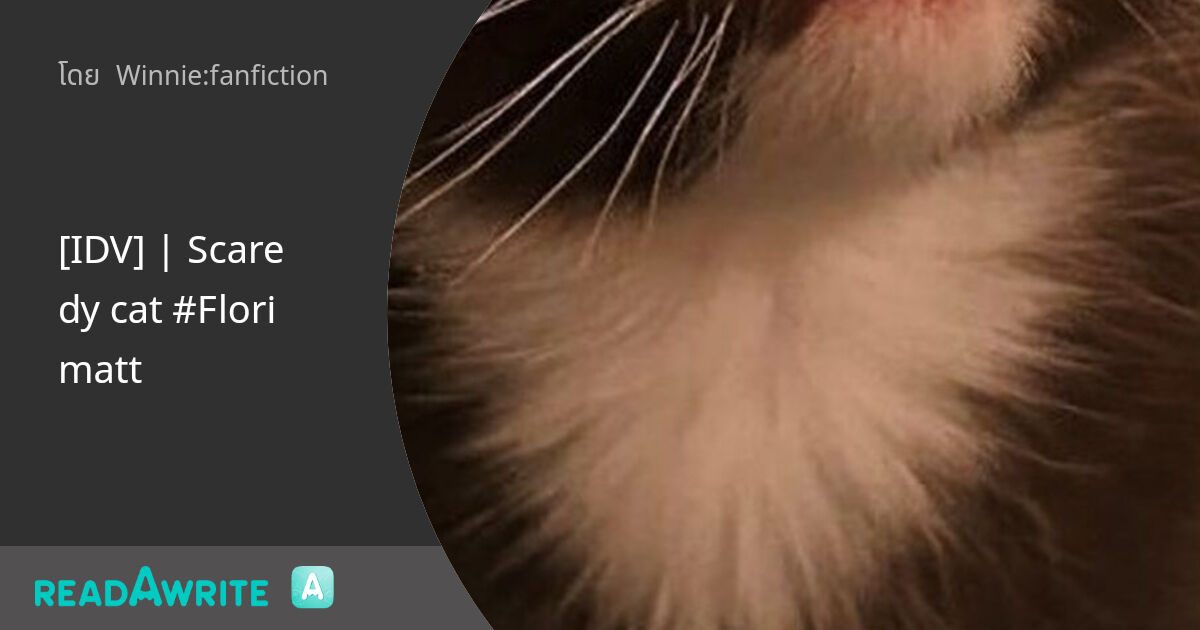 [IDV] | Scaredy cat #Florimatt: ฟิค Boy Love (แชท)