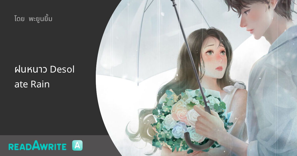 ฝนหนาว Desolate Rain - 24 ภาพถ่ายแห่งความทรงจำ (3): นิยายรัก