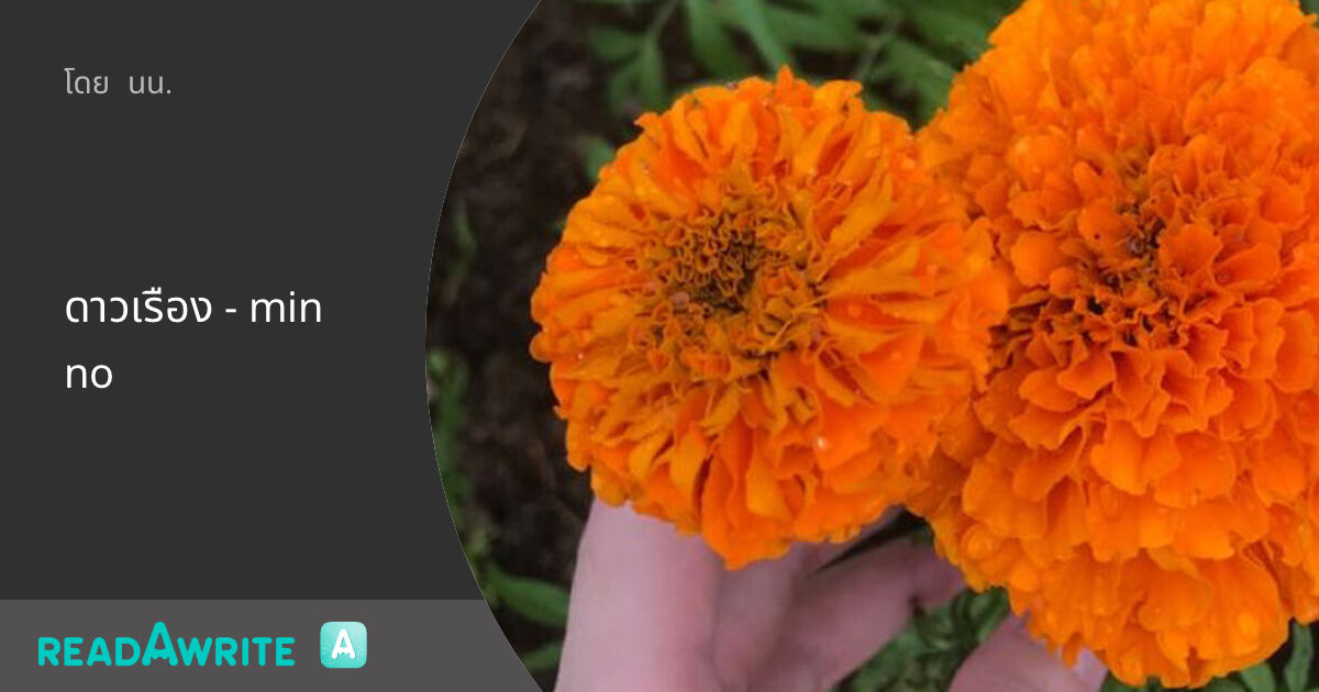 ดาวเรือง - minno - ๑ : ฟิค Boy Love (แชท)