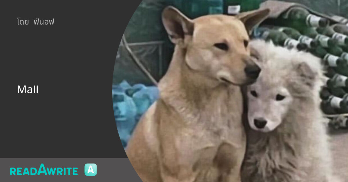 Maii: ฟิค Boy Love (แชท)