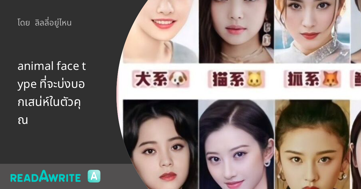animal face type ที่จะบ่งบอกเสน่ห์ในตัวคุณ: สาระความรู้