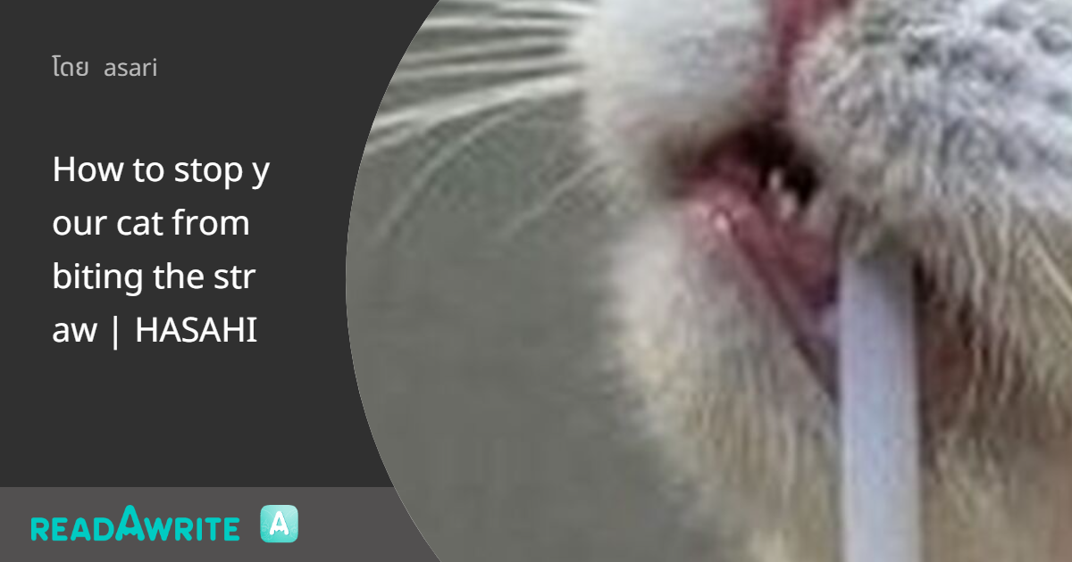 How to stop your cat from biting the straw | HASAHI: ฟิคฟรีสไตล์ (บรรยาย)