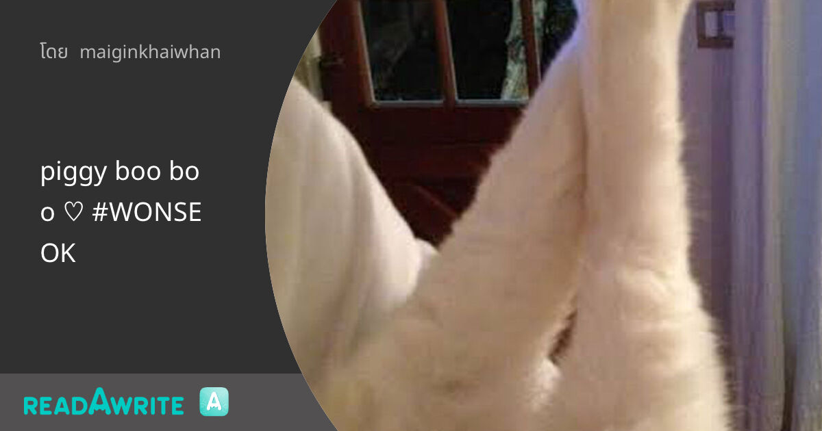 piggy boo boo ♡ #WONSEOK: ฟิค Boy Love (แชท)