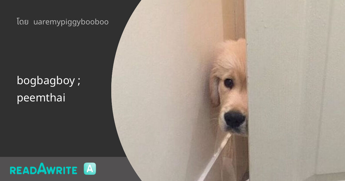 bogbagboy ; peemthai - แค่คุณ : ฟิค Boy Love (แชท)