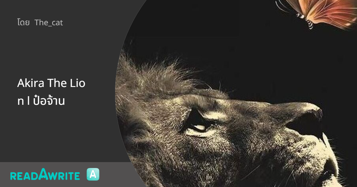 Akira The Lion l ป๋อจ้าน - 8th Time : ฟิค Boy Love (แชท)