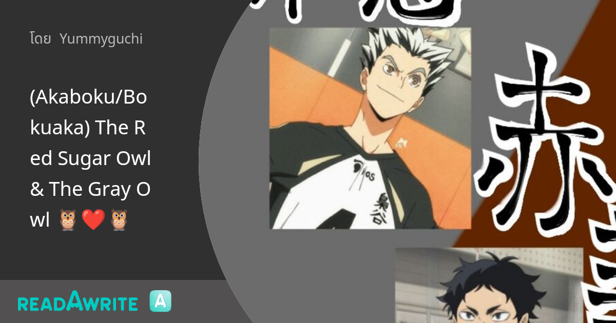 (Akaboku/Bokuaka) The Red Sugar Owl & The Gray Owl 🦉 ️🦉: ฟิค Boy Love (แชท)
