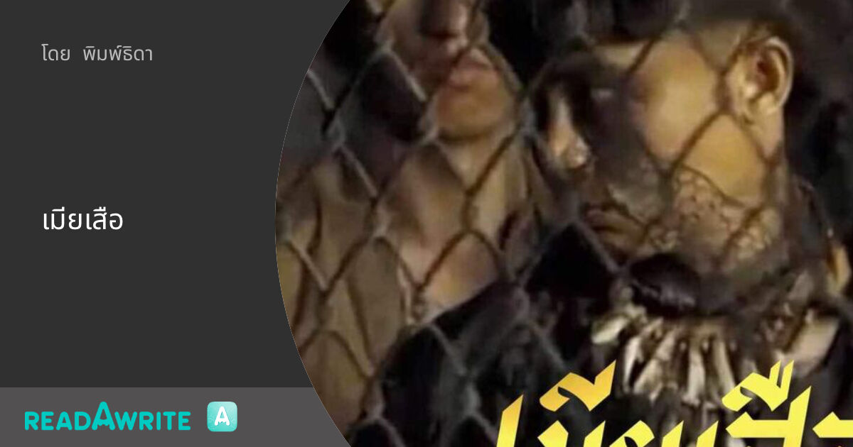 เมียเสือ: ฟิค Love Novel (บรรยาย)