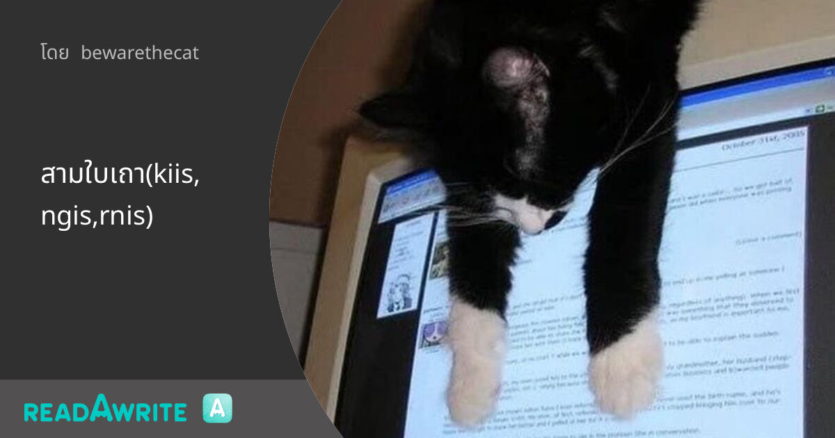 สามใบเถา(kiis,ngis,rnis): ฟิค Boy Love (แชท)