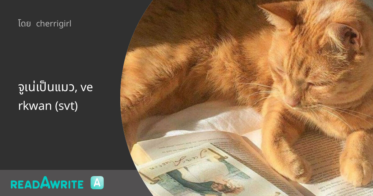 จูเน่เป็นแมว, verkwan (svt): ฟิค Boy Love (แชท)