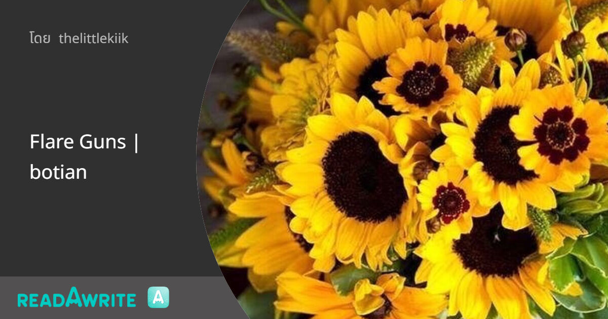 Flare Guns | botian: ฟิค Boy Love (บรรยาย)