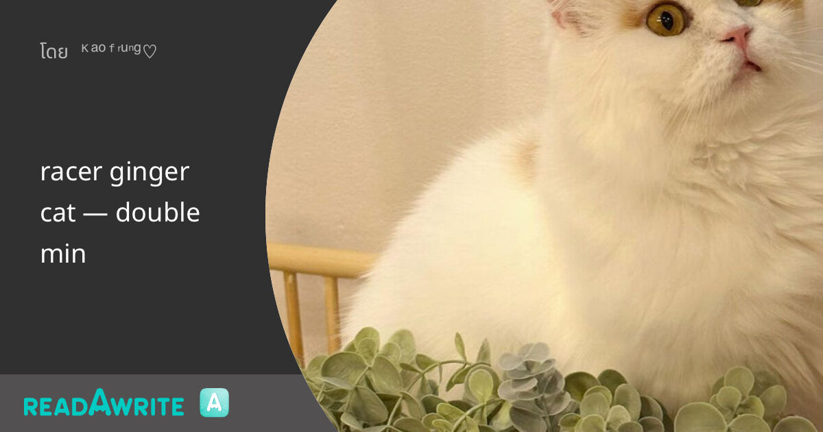 racer ginger cat — doublemin - 🏍️ 2 : ฟิค Boy Love (แชท)