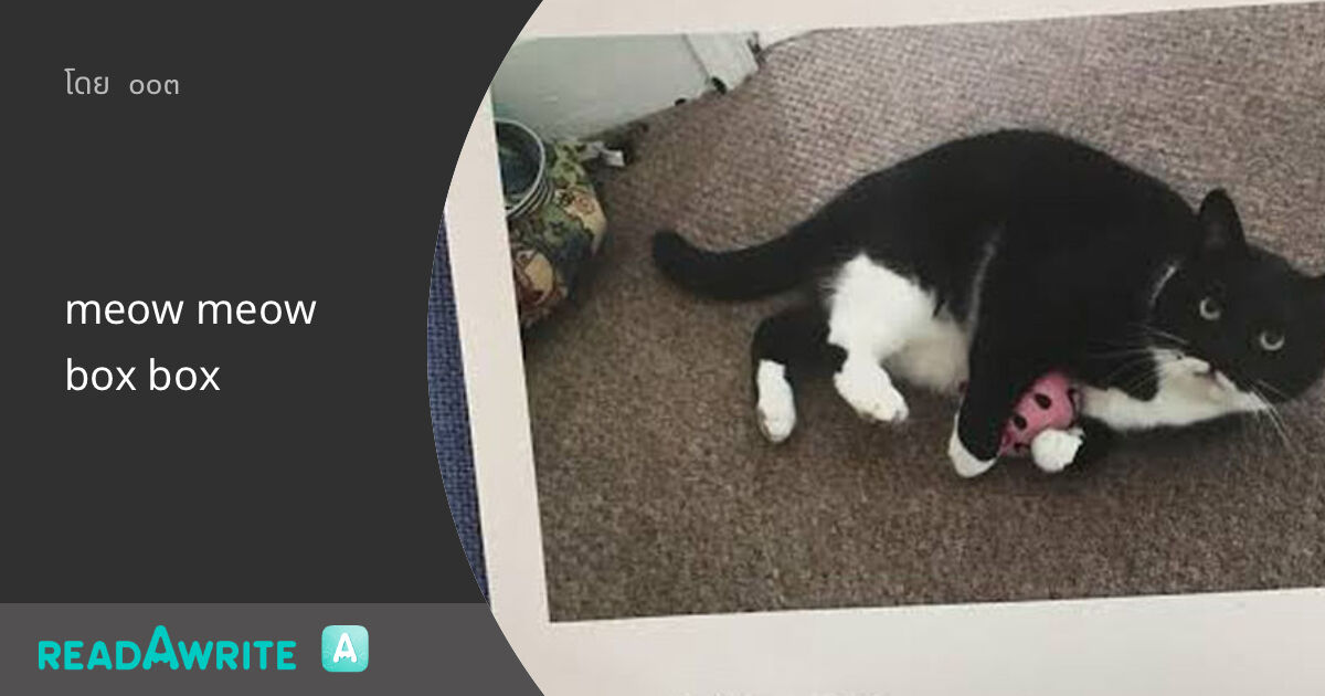 meow meow box box: ฟิค Boy Love (แชท)