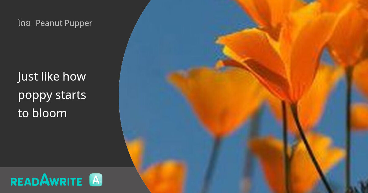 Just like how poppy starts to bloom: ฟิค Boy Love (บรรยาย)