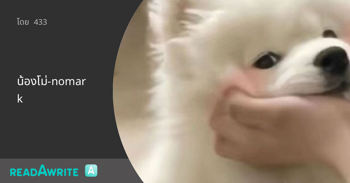 น้องโม่-nomark: ฟิค Boy Love (แชท)