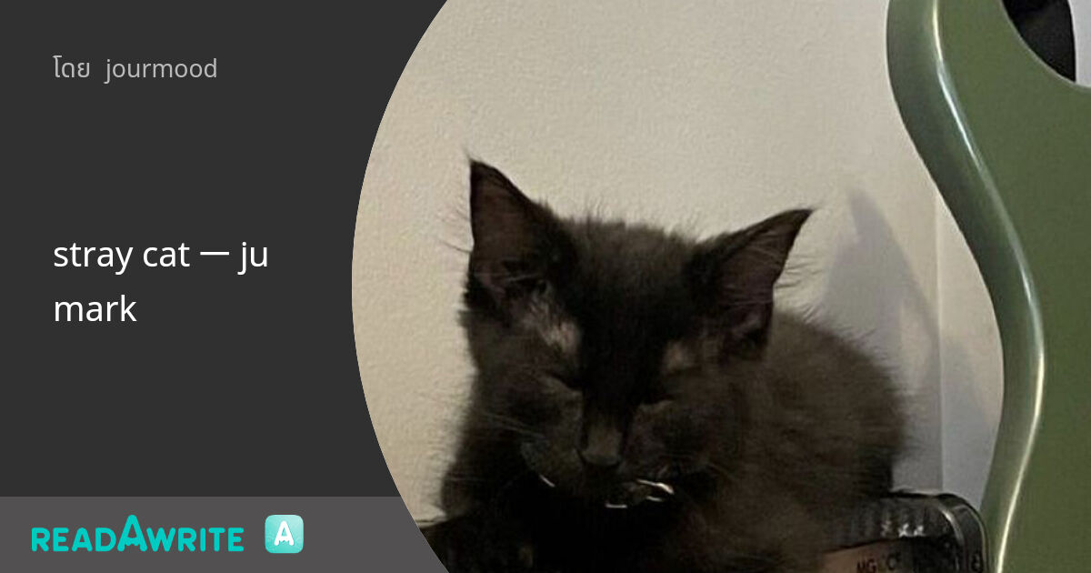 stray cat ㅡ jumark: ฟิค Boy Love (แชท)