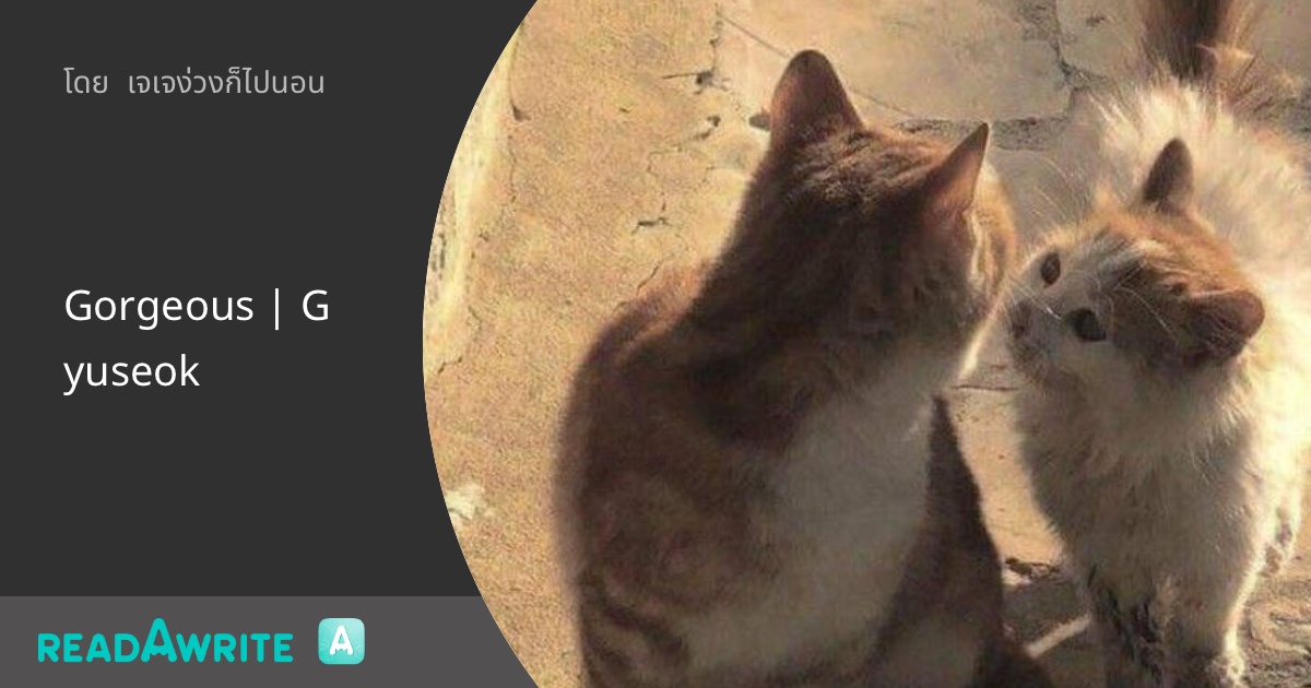 Gorgeous | Gyuseok: ฟิค Boy Love (แชท)