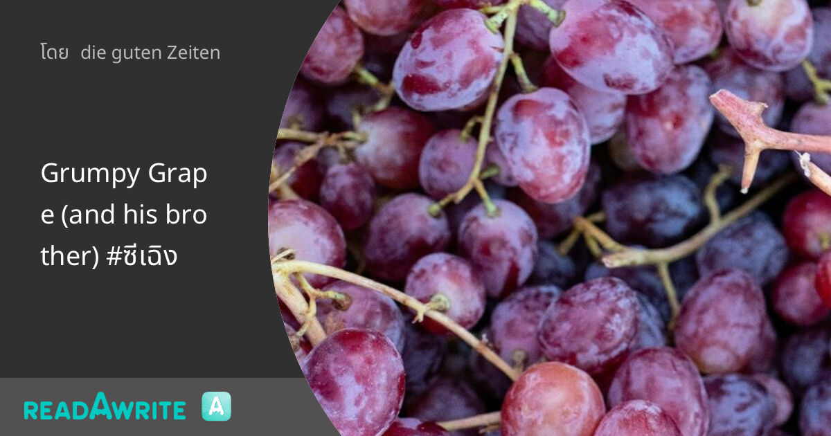 Grumpy Grape (and his brother) #ซีเฉิง: ฟิค Boy Love (บรรยาย)