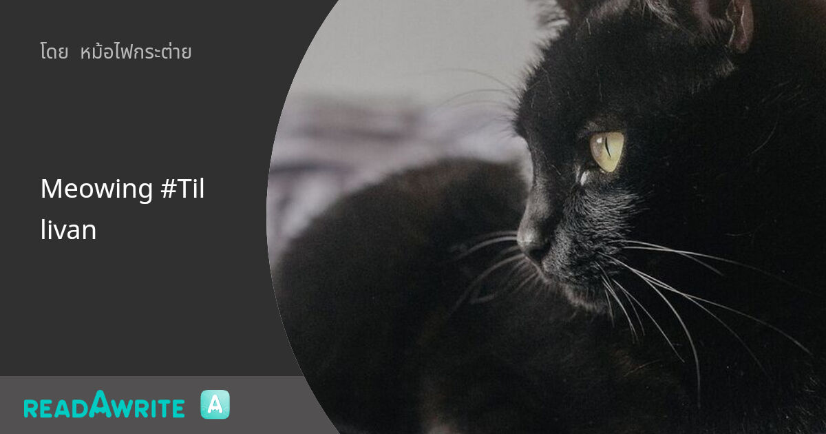 Meowing #Tillivan: ฟิค Boy Love (บรรยาย)
