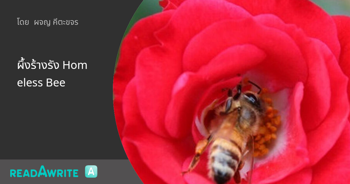 ผึ้งร้างรัง Homeless Bee: สัพเพเหระ