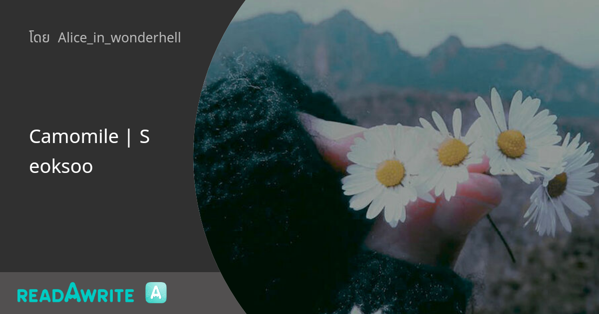 Camomile | Seoksoo: ฟิค Boy Love (บรรยาย)