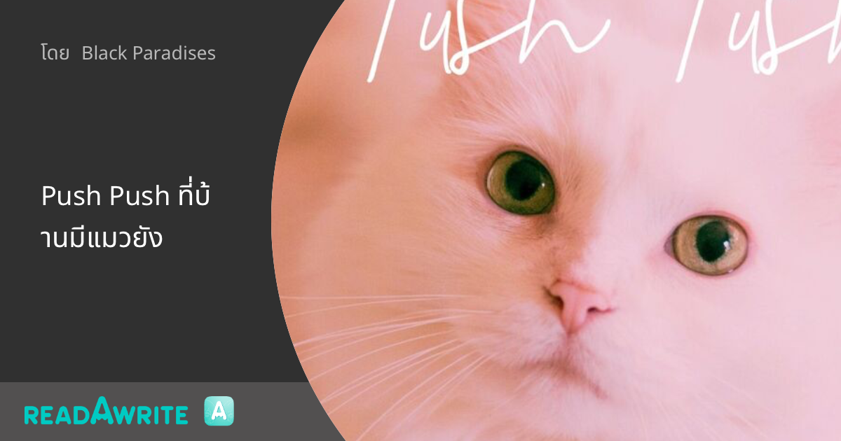 Push Push ที่บ้านมีแมวยัง: นิยายรักวัยรุ่น