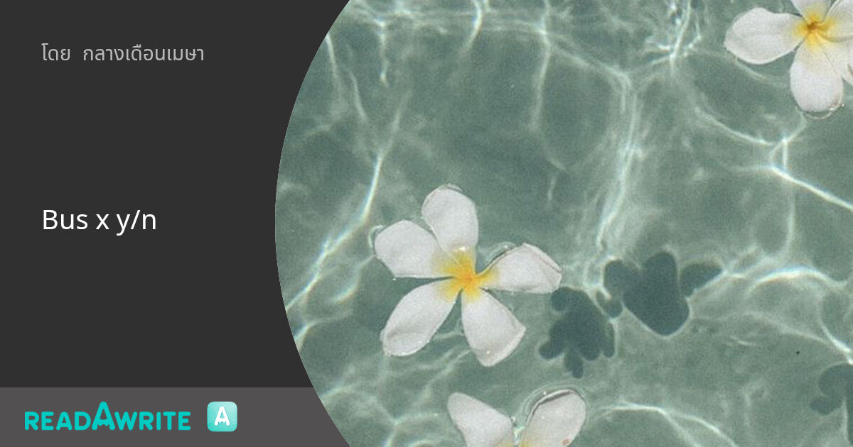 Bus x y/n: ฟิค Love Novel (แชท)