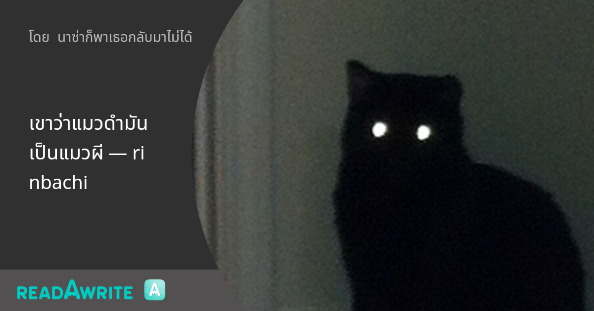 เขาว่าแมวดำมันเป็นแมวผี — rinbachi - 01 : ฟิค Boy Love (แชท)