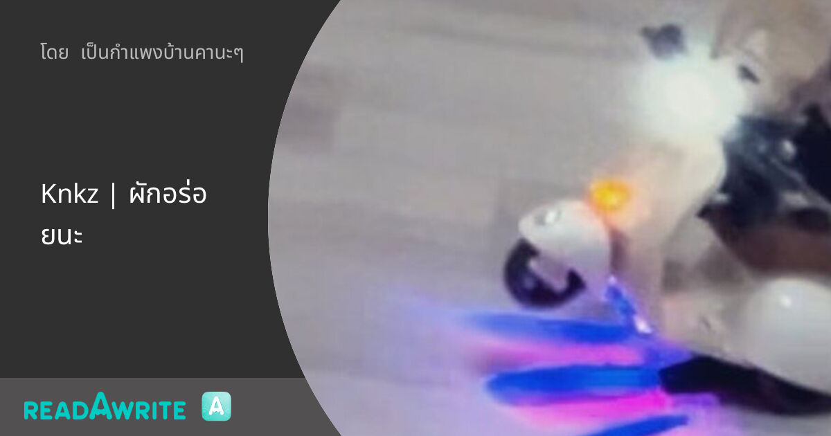 Knkz | ผักอร่อยนะ: ฟิค Boy Love (แชท)