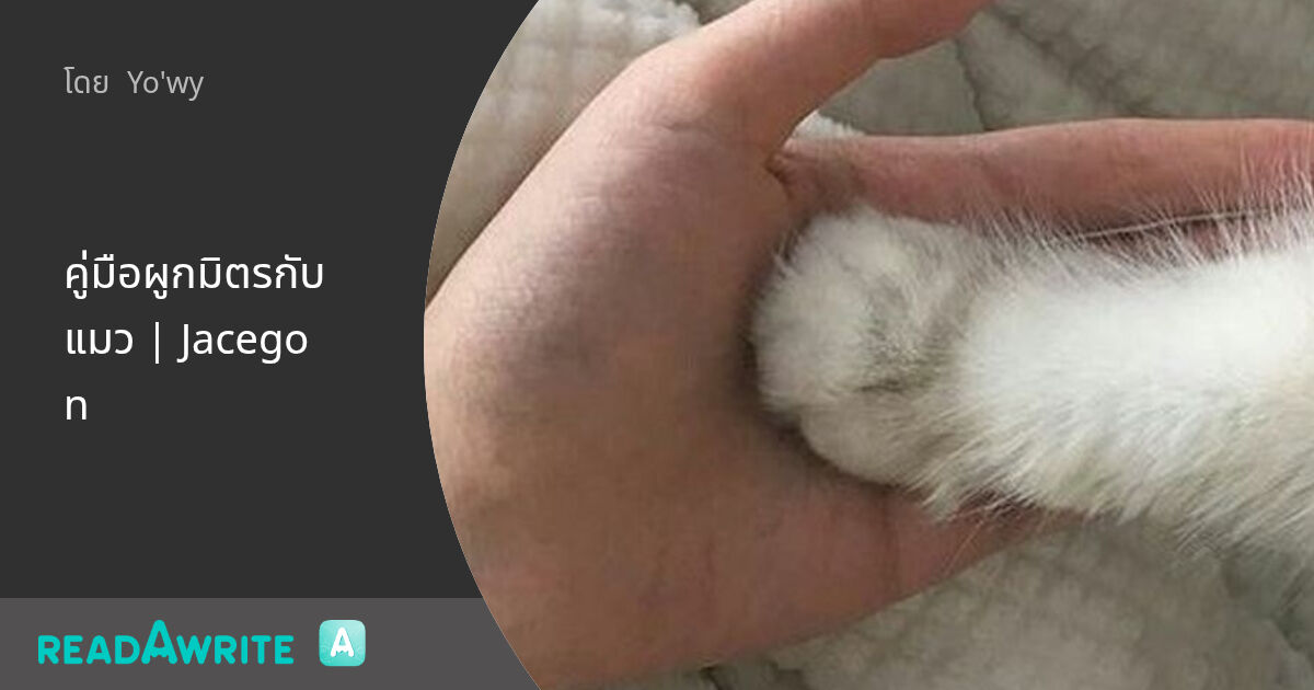 คู่มือผูกมิตรกับแมว | Jacegon: ฟิค Boy Love (แชท)