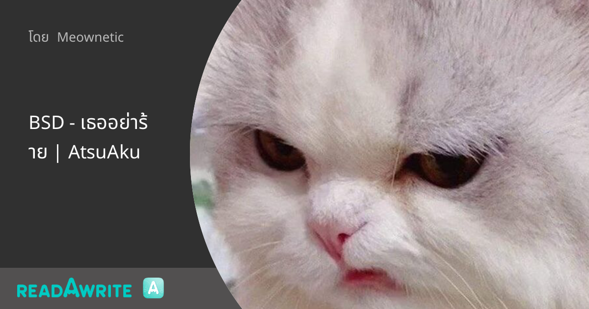 BSD - เธออย่าร้าย | AtsuAku: ฟิค Boy Love (แชท)