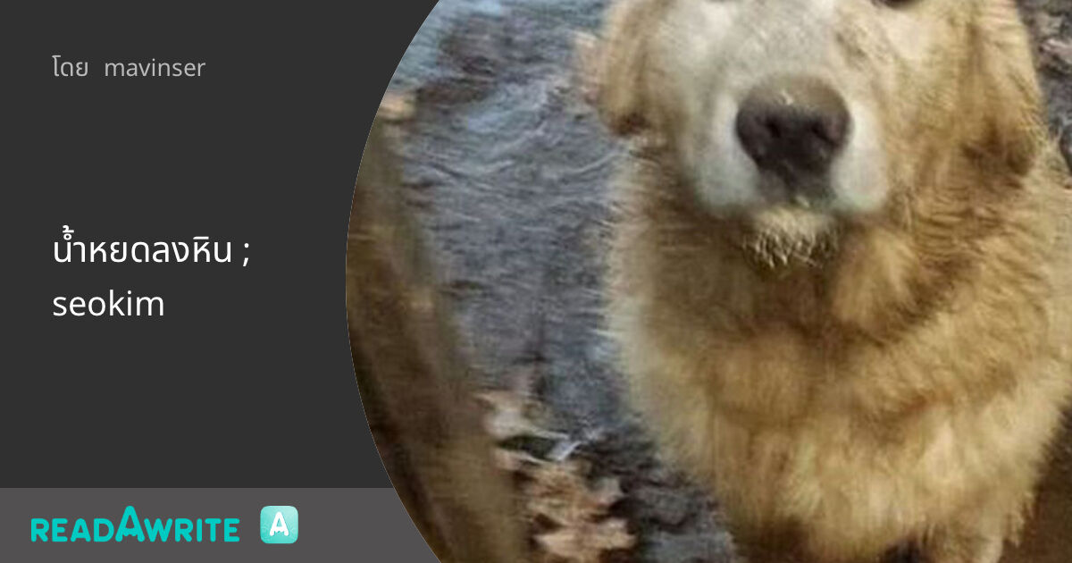 น้ำหยดลงหิน ; seokim - แค่มิตรภาพเพื่อนชาย : ฟิค Boy Love (แชท)