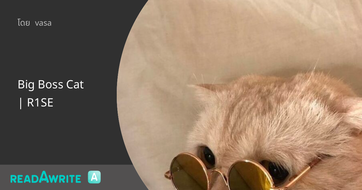 Big Boss Cat | R1SE - one : ฟิค Boy Love (แชท)