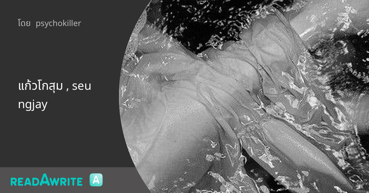 แก้วโกสุม , seungjay: ฟิค Boy Love (แชท)