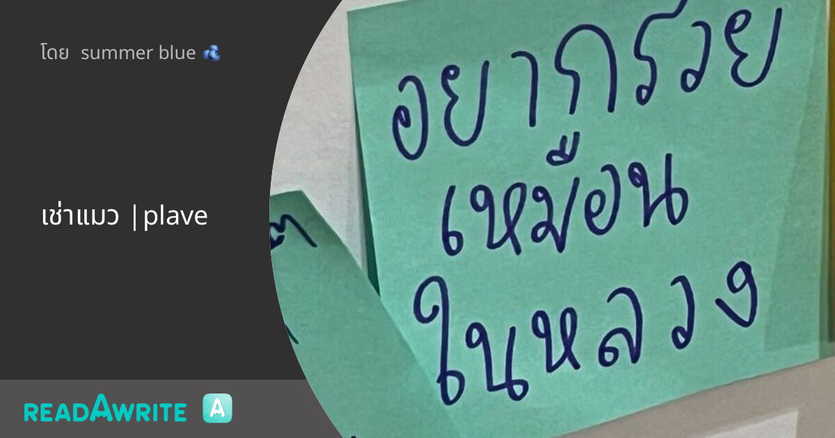 เช่าแมว |plave: ฟิค Boy Love (แชท)