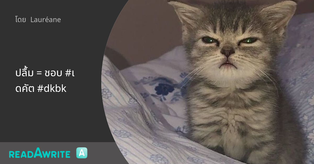 ปลื้ม = ชอบ #เดคัต #dkbk: นิยาย Boy Love Lovely Room (แชท)